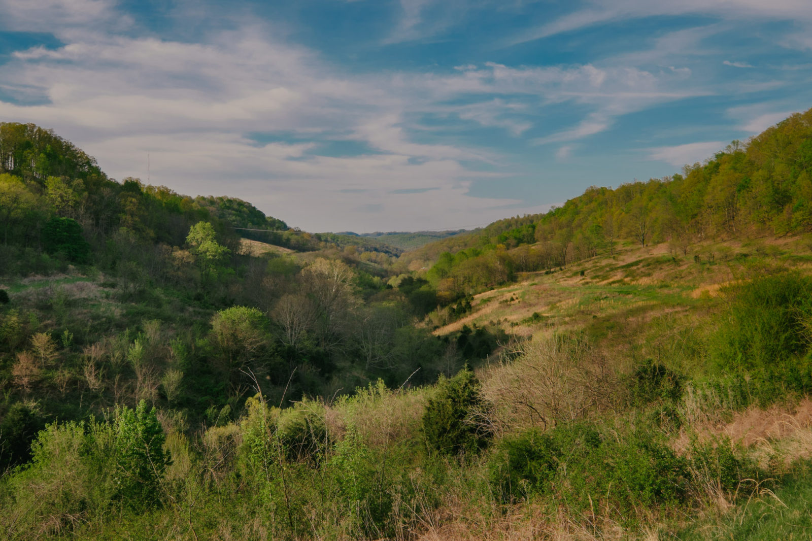 Don Wright Designs And Photography